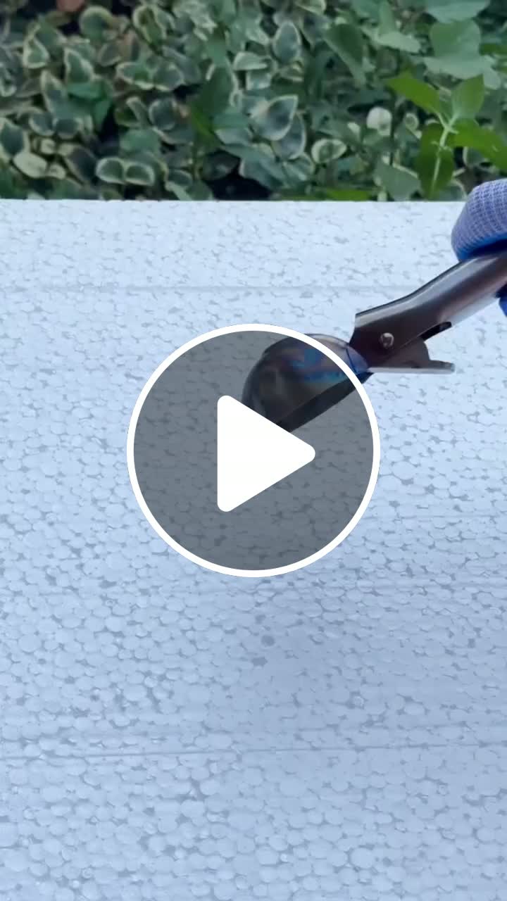 watch till the end - NewsBreak