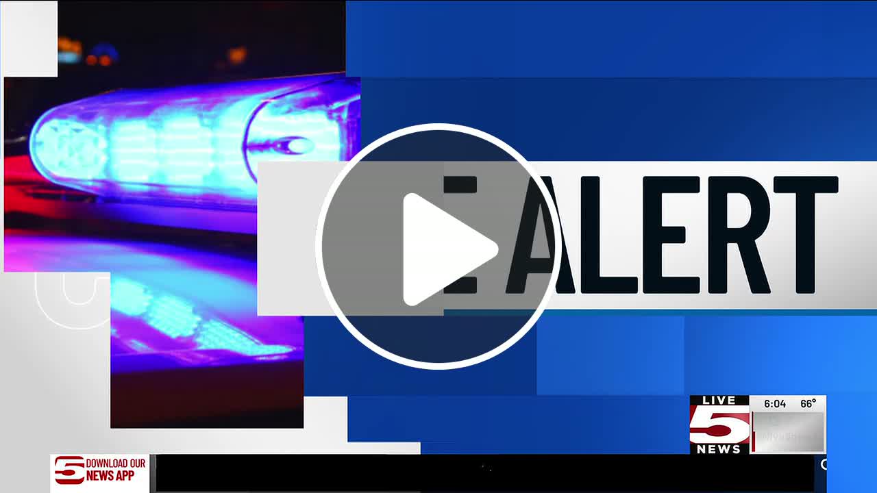 VIDEO: SLED closes Goose Creek fire investigation, cause undetermined ...