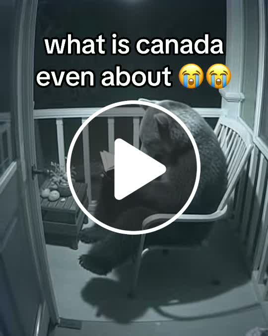 #canada #funny #memes (8) - NewsBreak