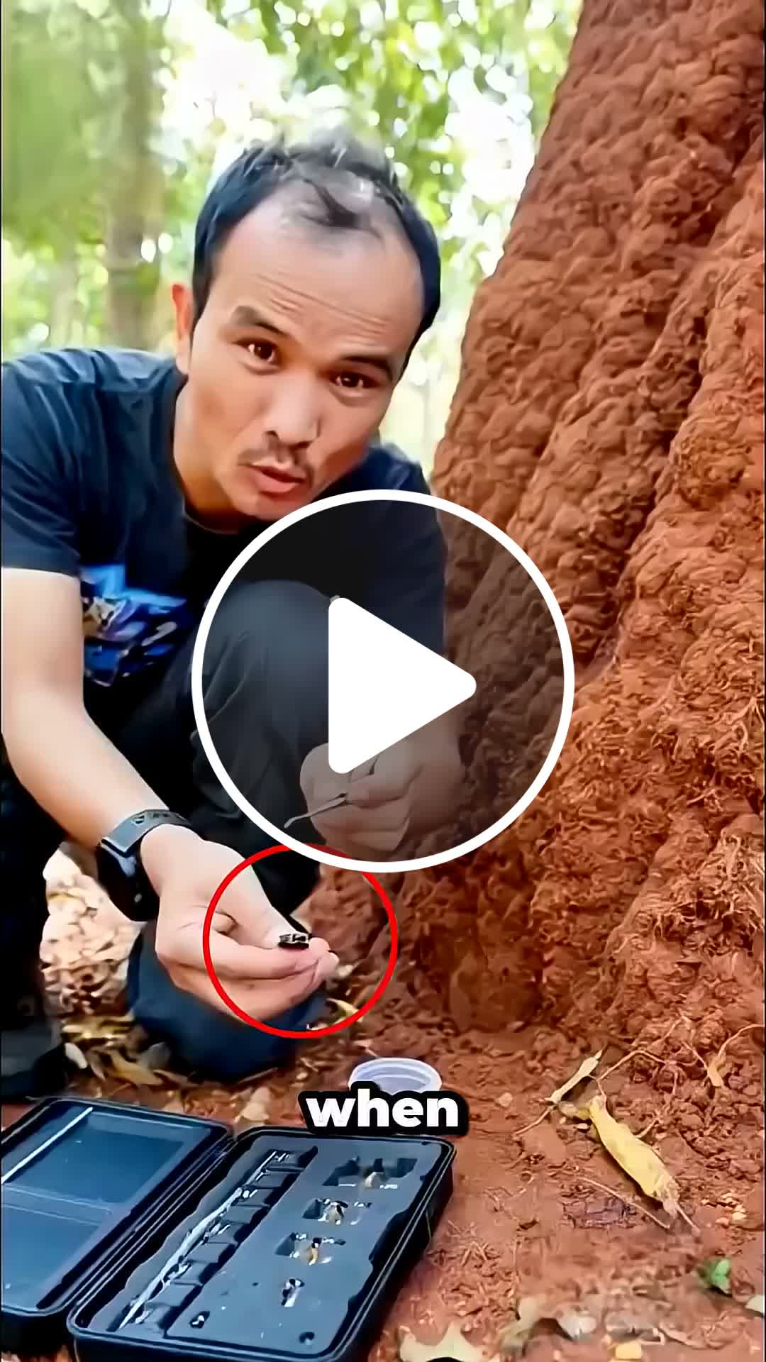 What the Termite Queen's Chamber Actually Looks Like #discovery - NewsBreak