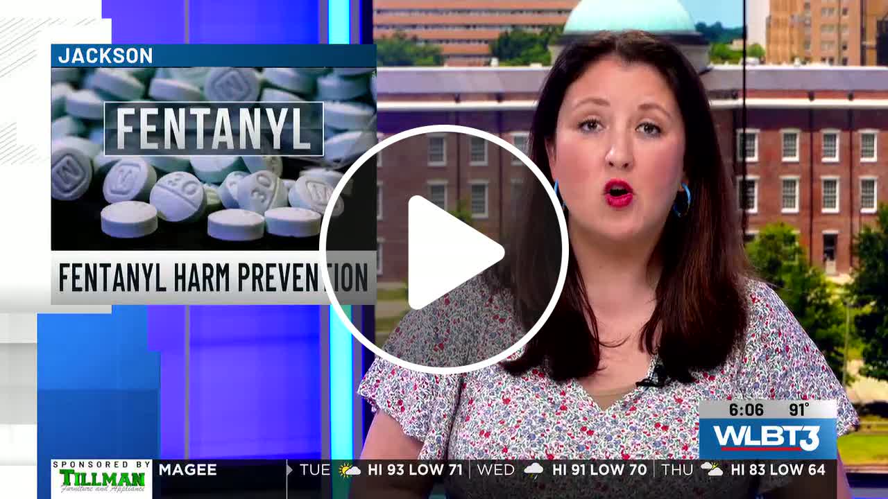 AI-generated. Young girl's epic Kung Fu show 🥋🦊 #ai #kungfu #fox ...