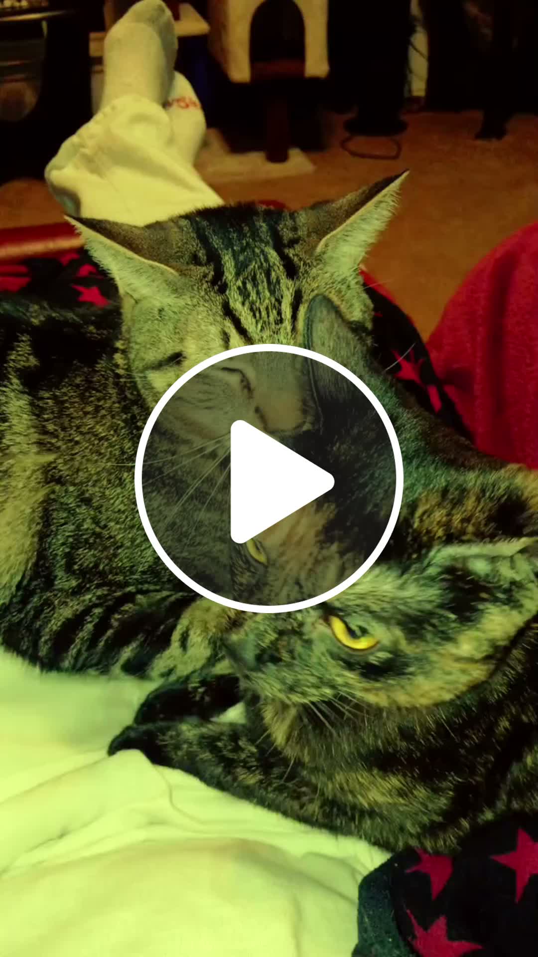 Happy New Year 🎊 - NewsBreak