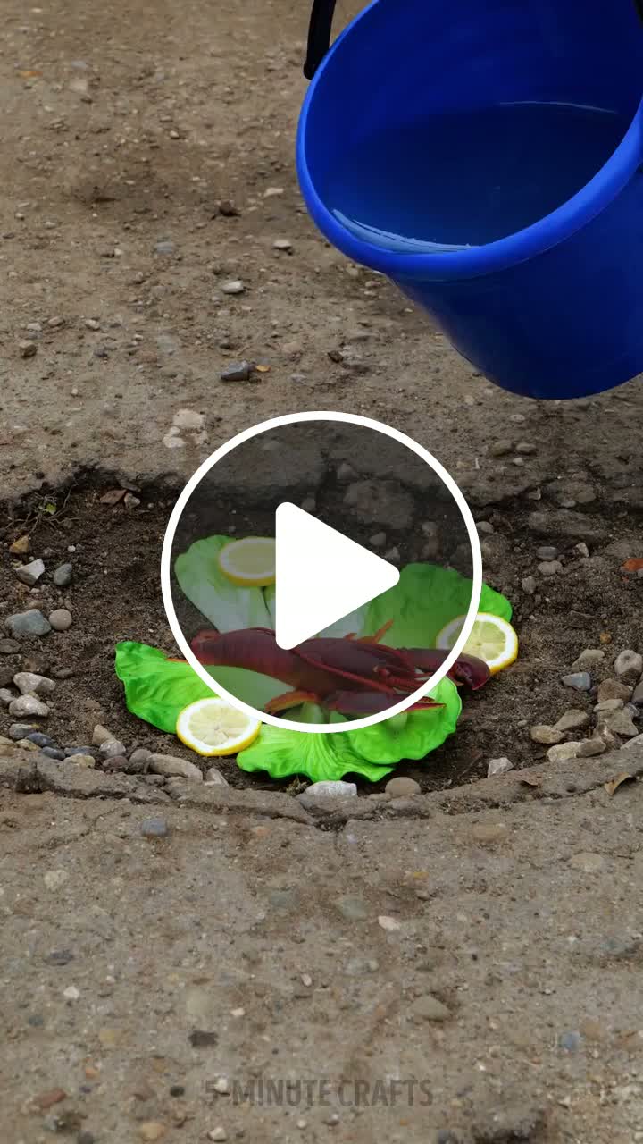 The Most Unusual Pothole Repair You ll Ever See - NewsBreak