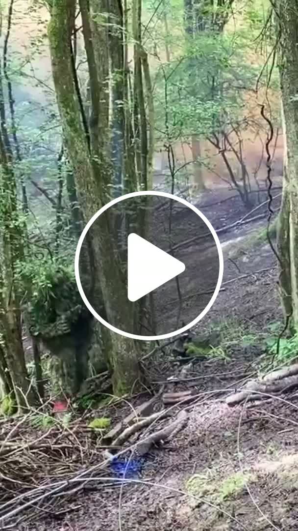 Return to sender (airsoft bang) - NewsBreak