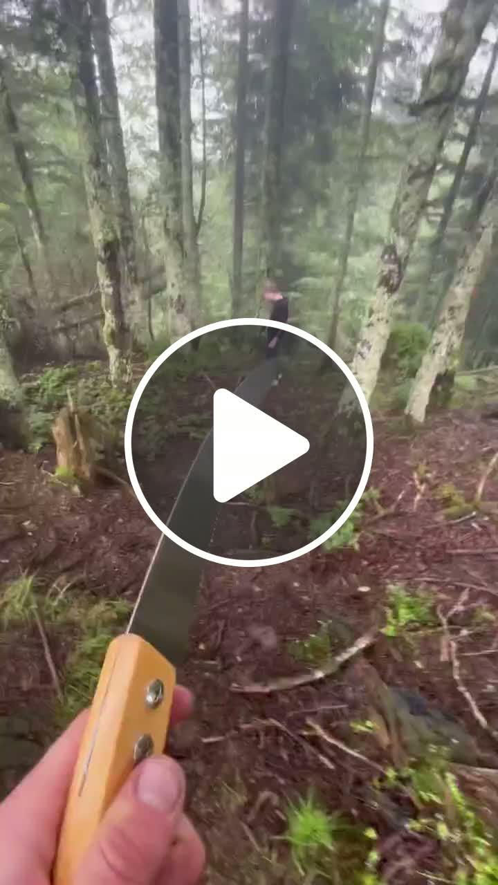 People turn a tree branch into a skateboard and successfully use it ...