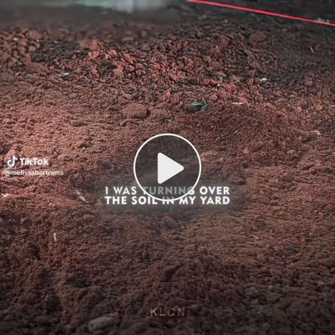 movie name anyone - NewsBreak