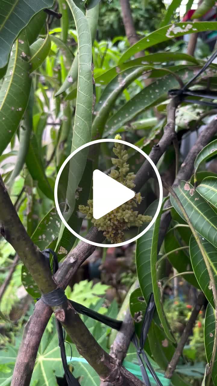 Lost My Respect” NFL Hall Of Famer Denounces ICE, Immediately Sees Fan ...