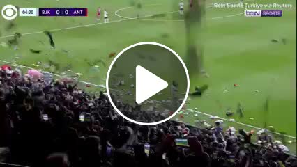 TEDDIES FOR TURKEY Fans threw thousands of stuffed animals onto the ...