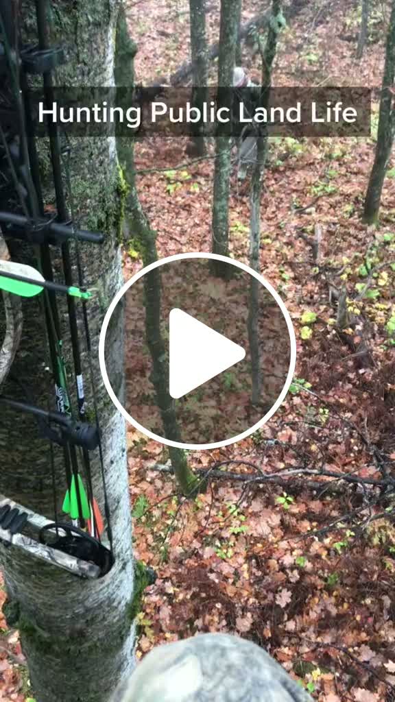 🏹 #bow#archery#bowhunt#bowhunting#bowhunter#hunt#hunting#hunter#deer# ...