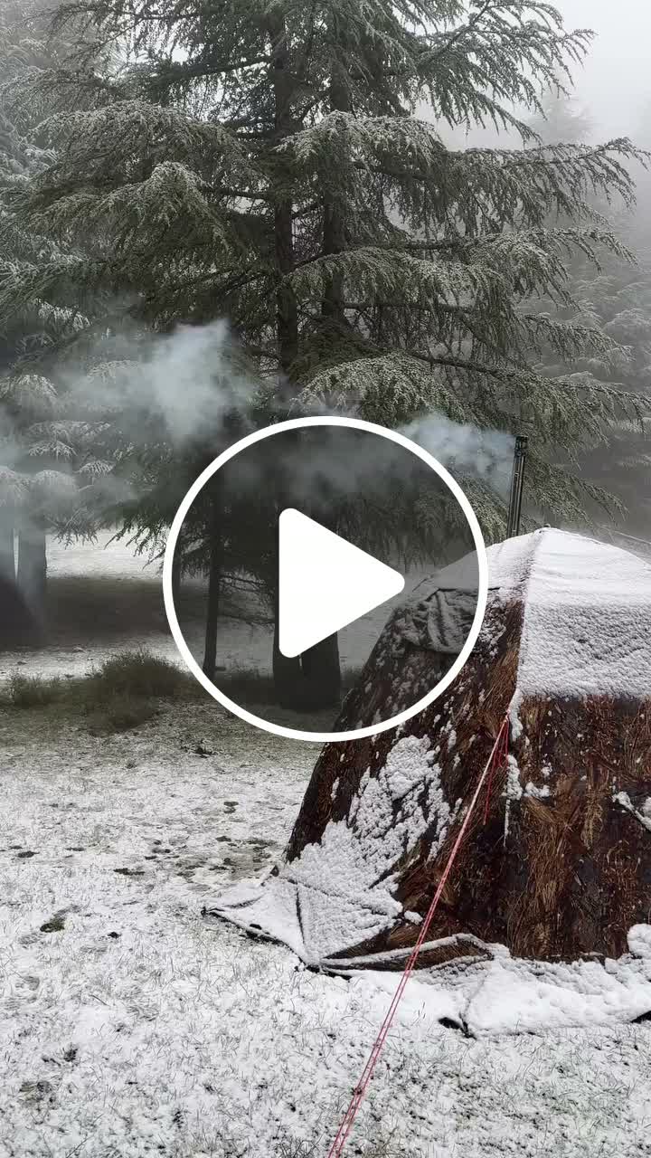 Laura Ingraham Admits Michelle Obama Was 'Right' After Trump ...