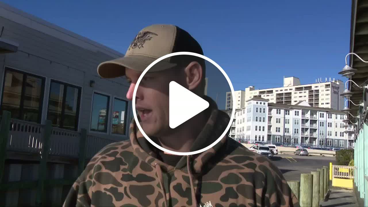 Video shows daring rescue after woman drives into the water near Back ...