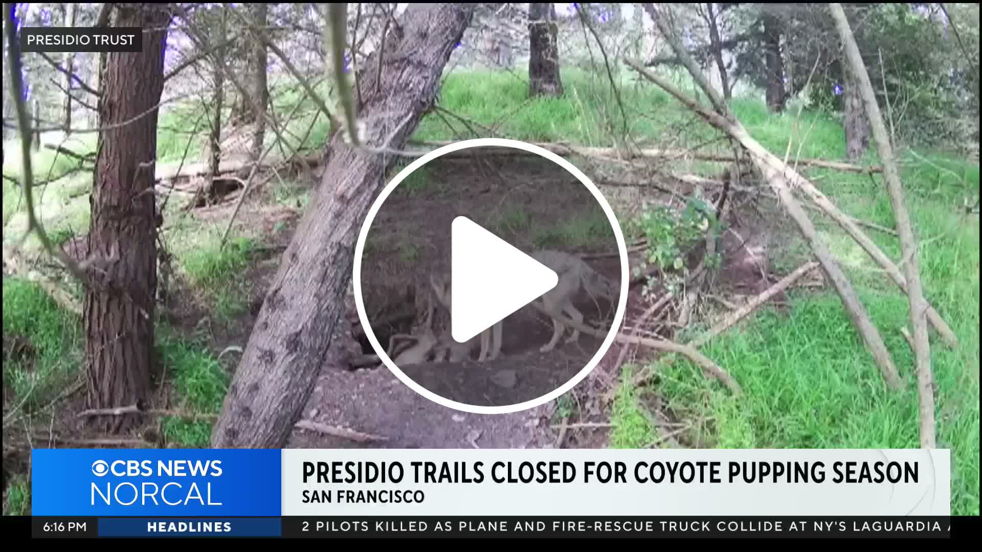 San Francisco Rec and Park gets $850,000 to rebuild Blue Heron Lake ...