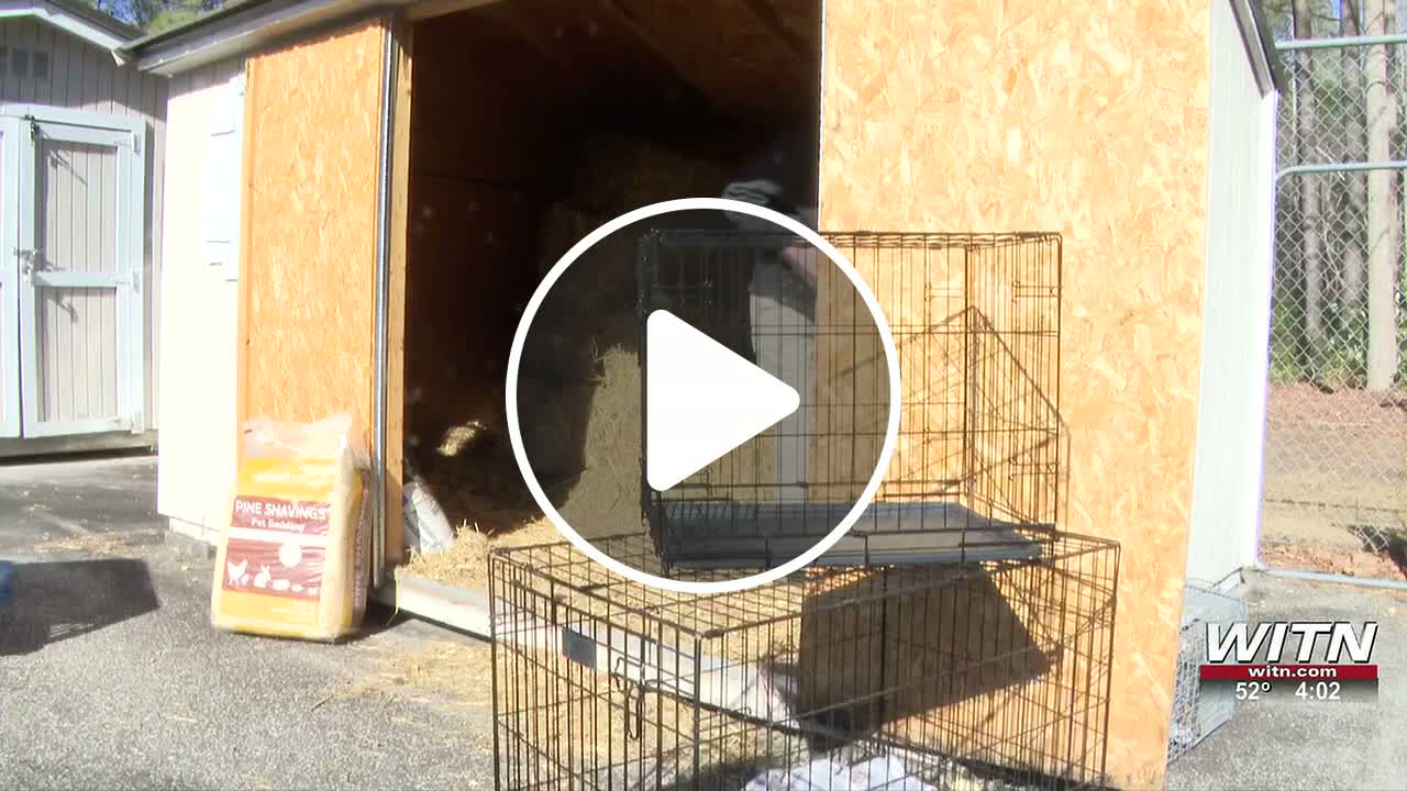 Shelter provides supplies to keep animals warm - NewsBreak