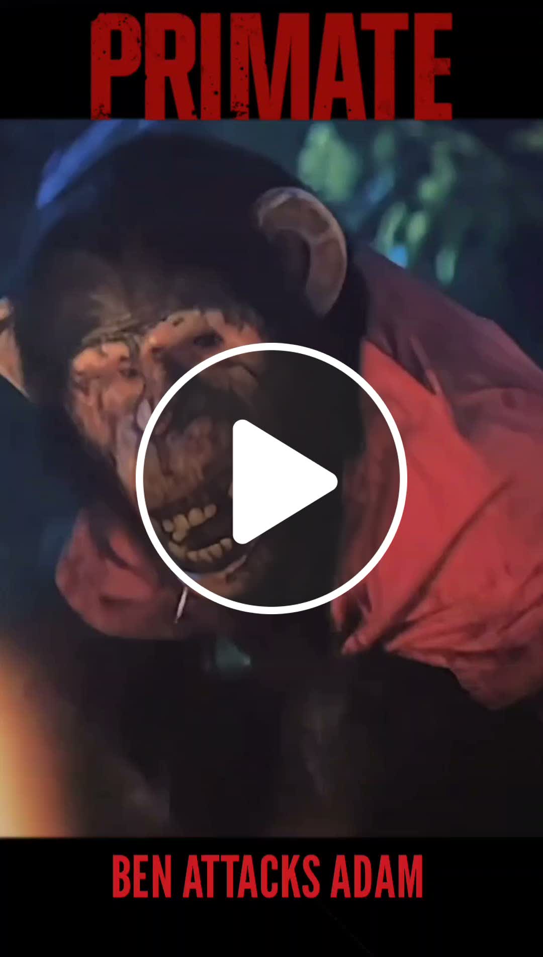 Primate 2026 Movie: Ben's Death Edit #fyp #viral #scoopz #horror # ...