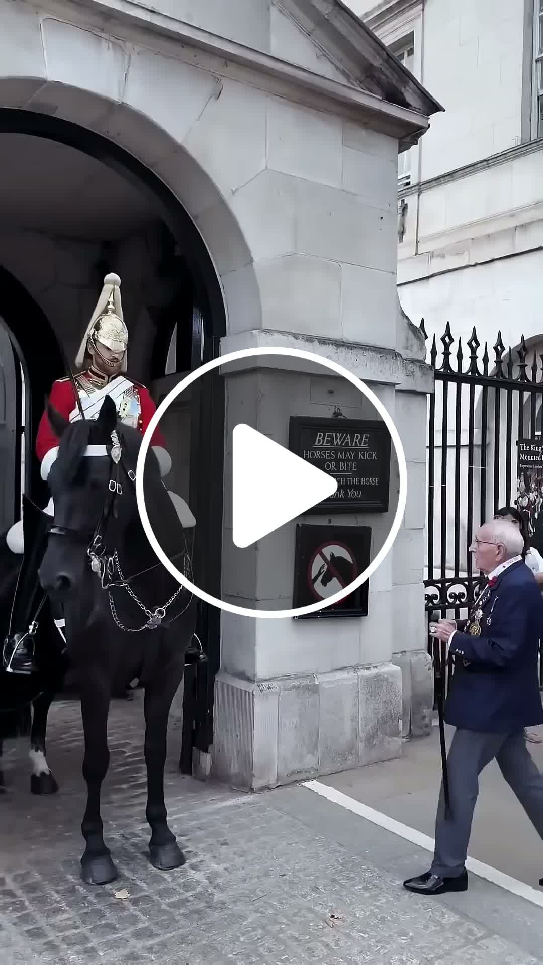 Respect 🙏 #horseguard #royalguard #tourist #horseguardsparade #horse # ...