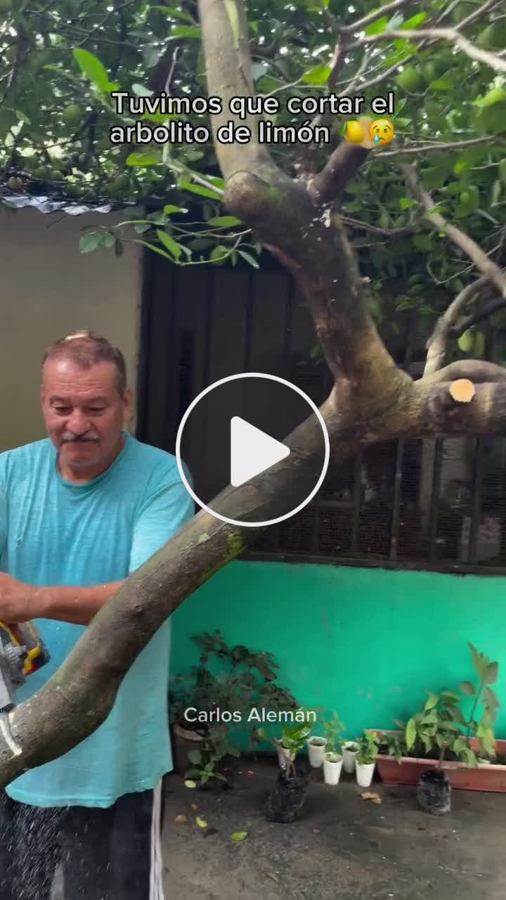 NPR host issues ‘clarification’ after senator refers to Minnesota ...