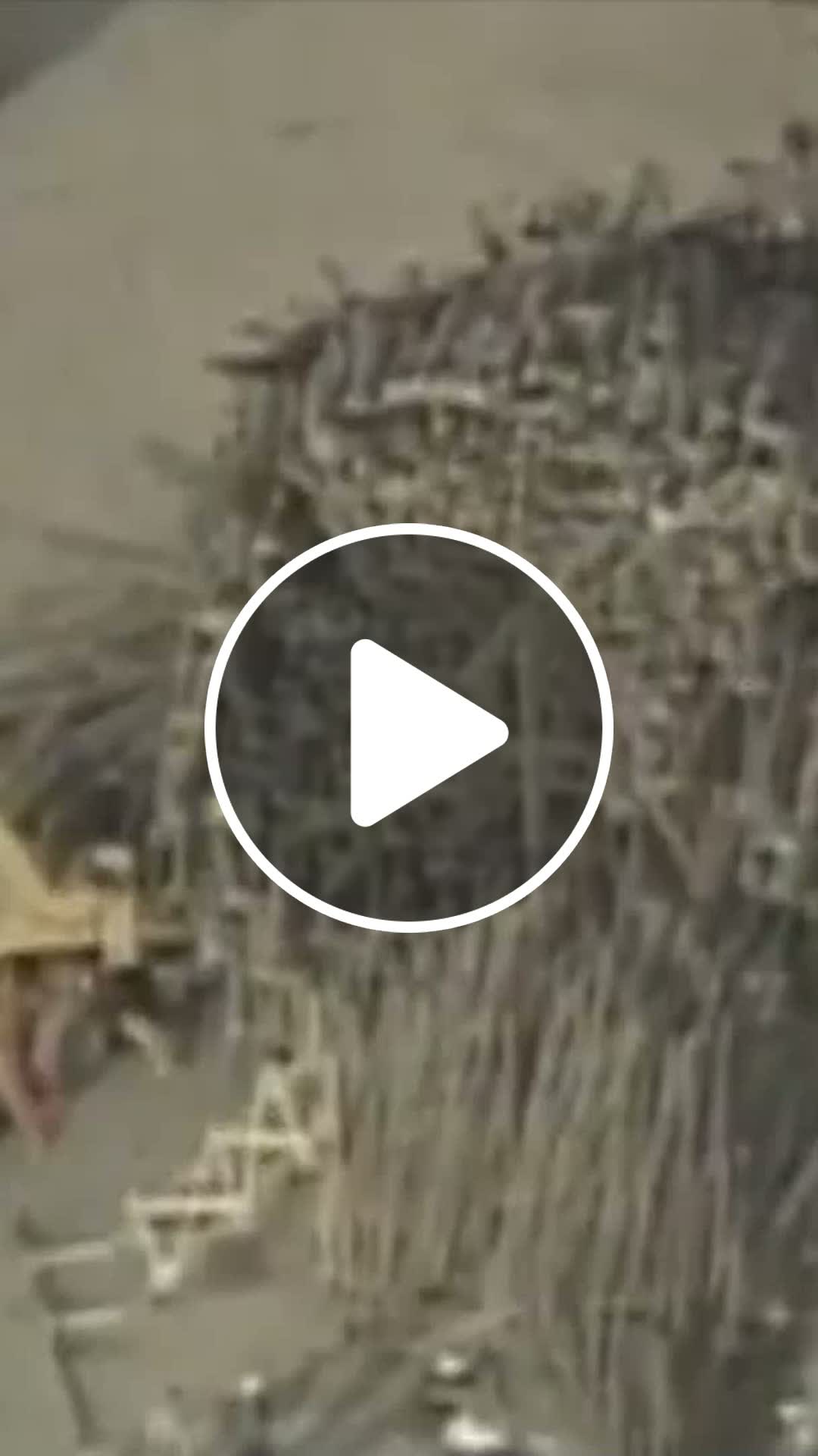 26 Years since Aggie Bonfire Collapse - NewsBreak