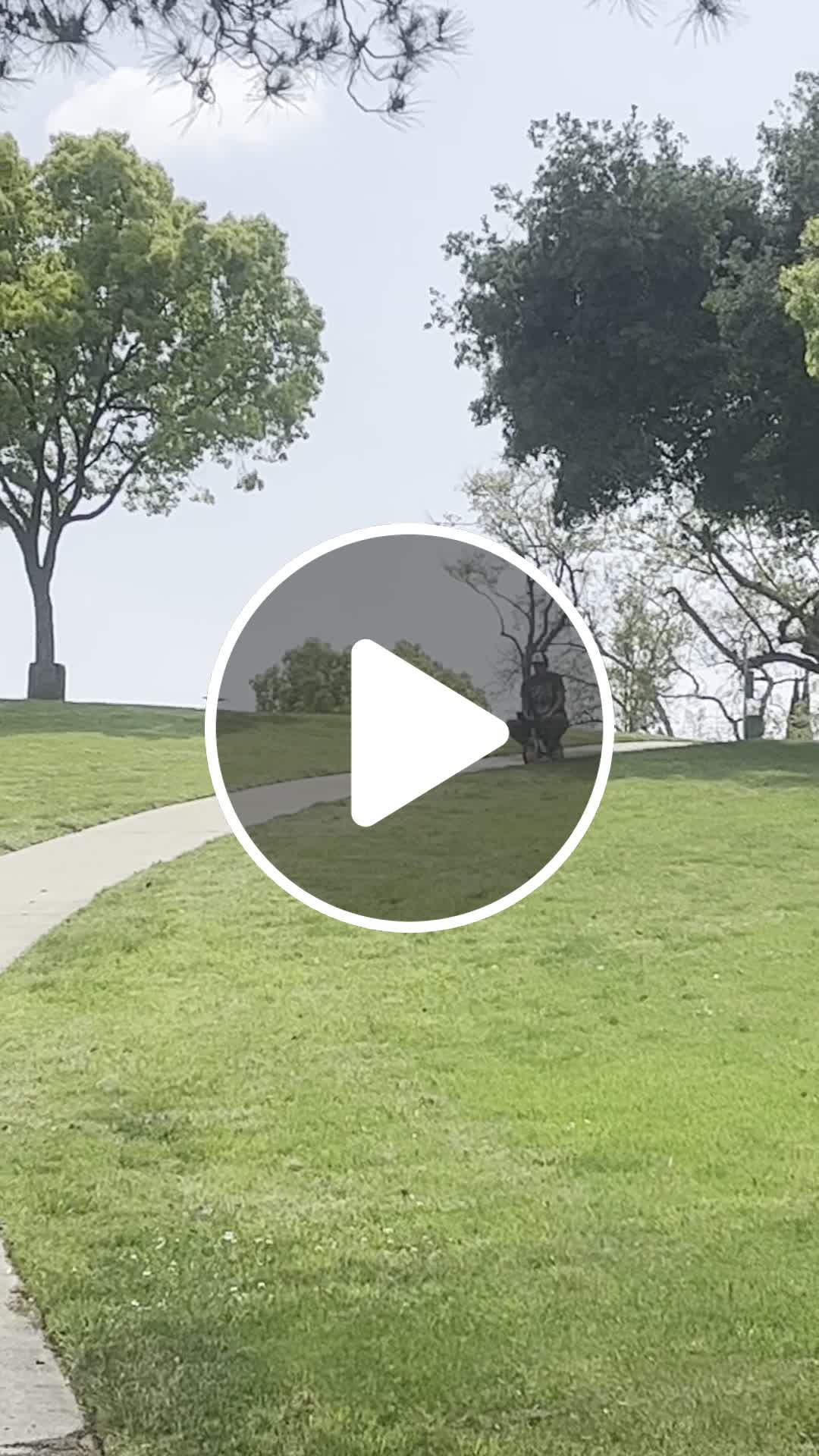 Hilarious park moment as kid trips while running behind his bike ...