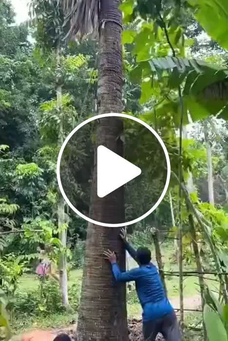 Child Actor From NBC Sitcom Dead at 42: RIP to Floyd Roger Myers Jr ...