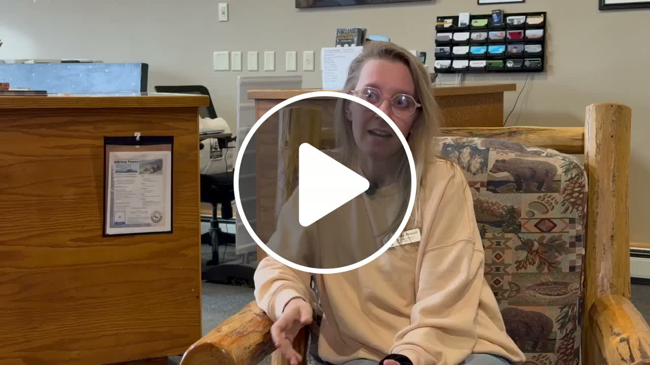 Yellowstone unveils long-awaited plan for permanent north entrance road ...