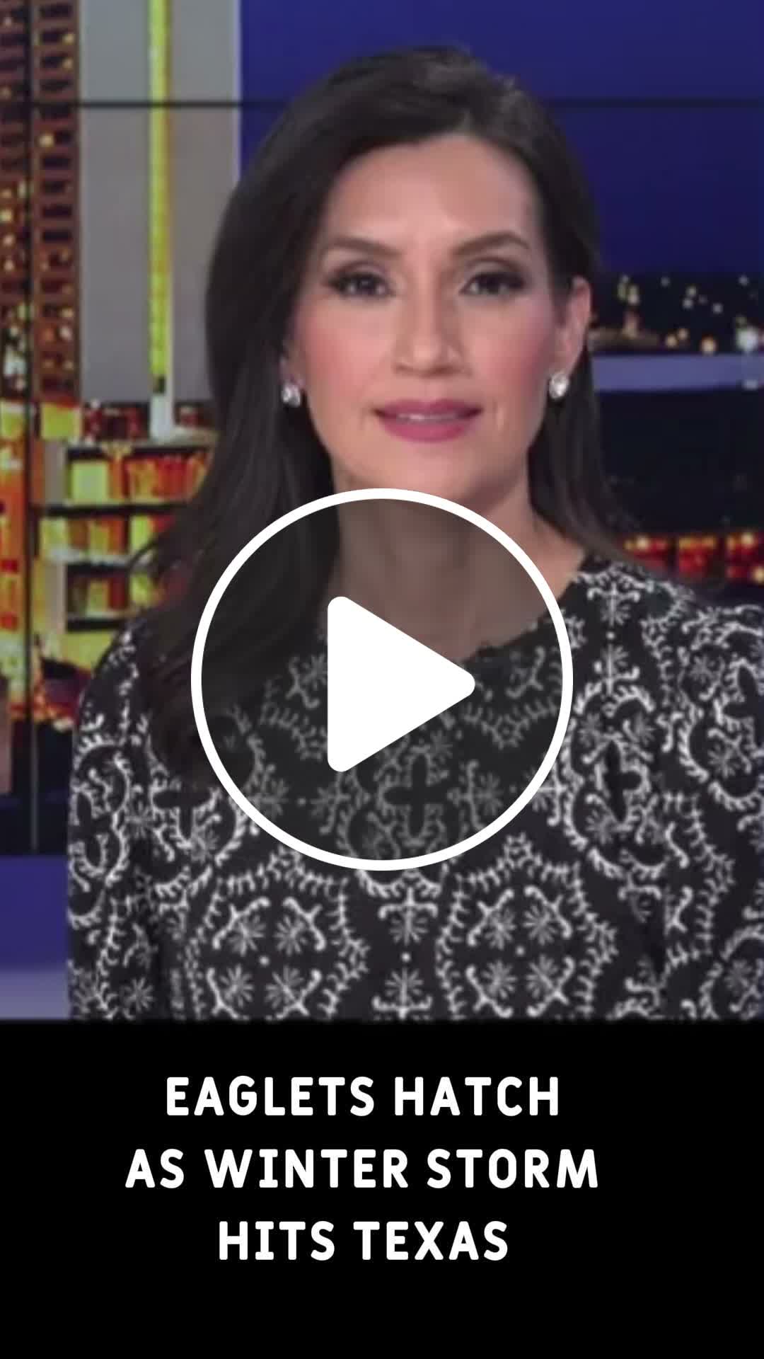 Eaglets hatch as winter storm hits Texas - NewsBreak