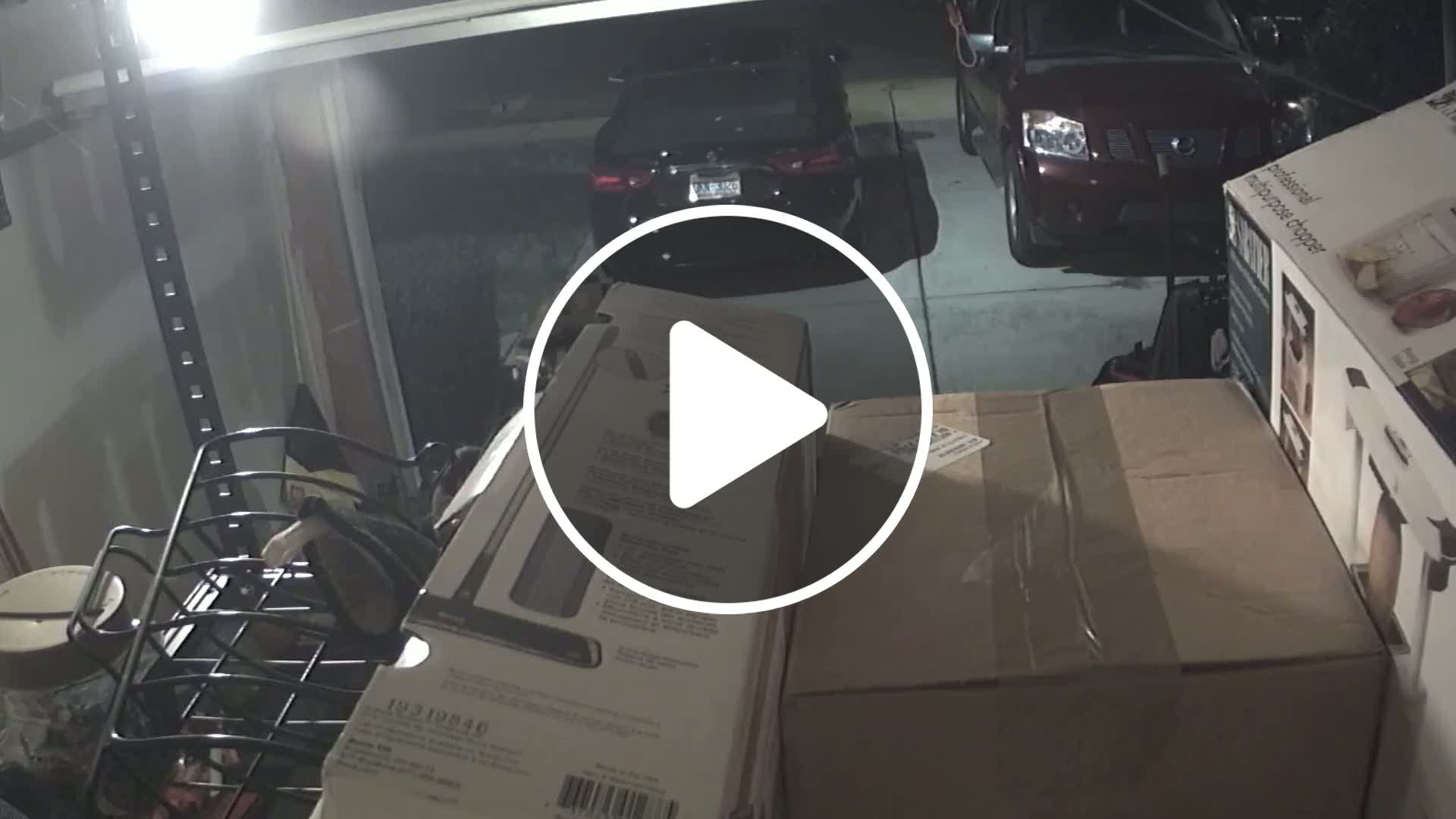 Cop-on-cop shooting - NewsBreak