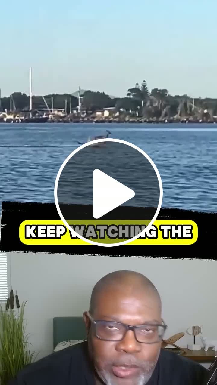 Keep Watching The Waters #animals #viral - NewsBreak