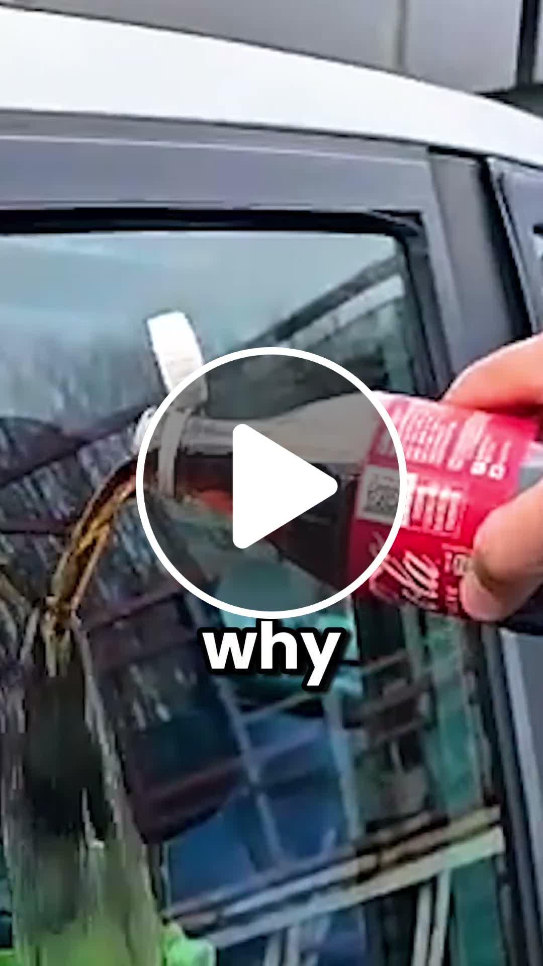 Why does soda damage some car windows but not others# - NewsBreak
