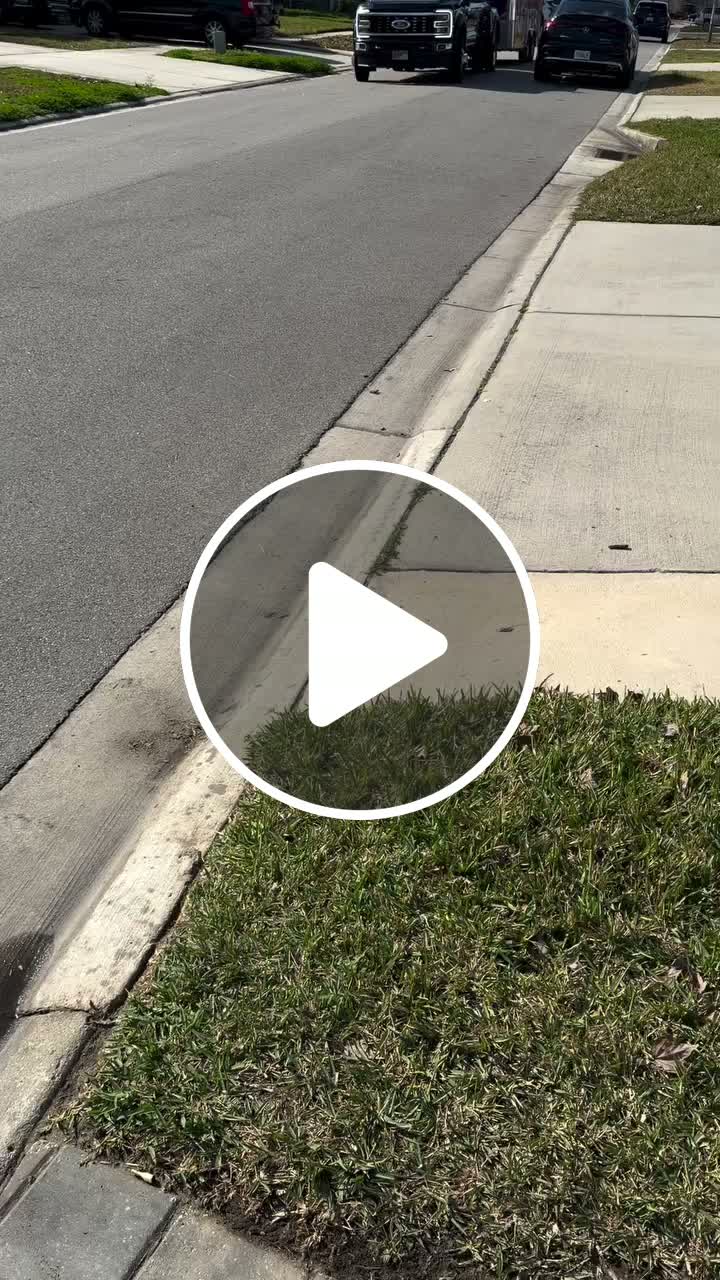 Laura Ingraham Admits Michelle Obama Was 'Right' After Trump ...