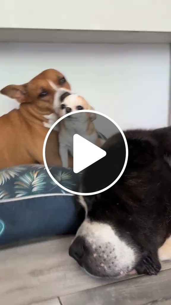 A sweet awakening for the princess - NewsBreak