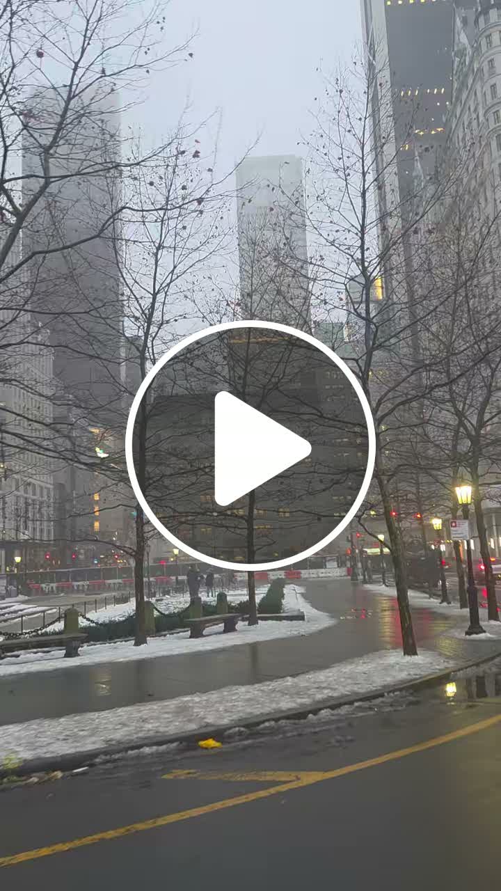 Discover the magic of Central Park in winter — snow-covered streets and ...