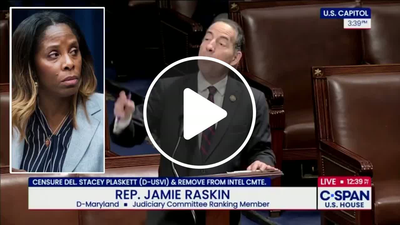 Rep. Jamie Raskin says it’s totally normal for a representative to be ...