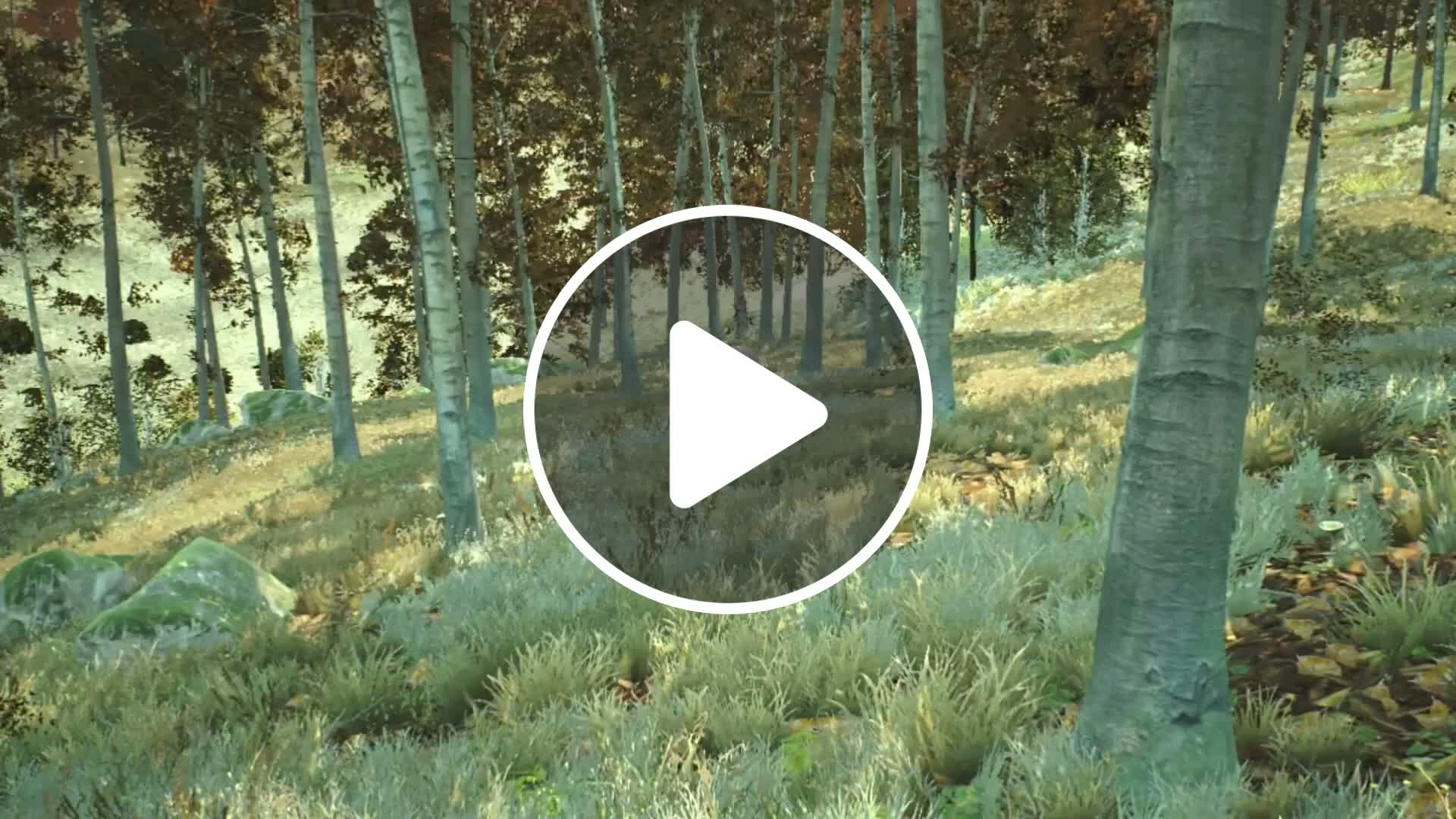 Way of the Hunter: Wild Europe - Official Launch Trailer - NewsBreak