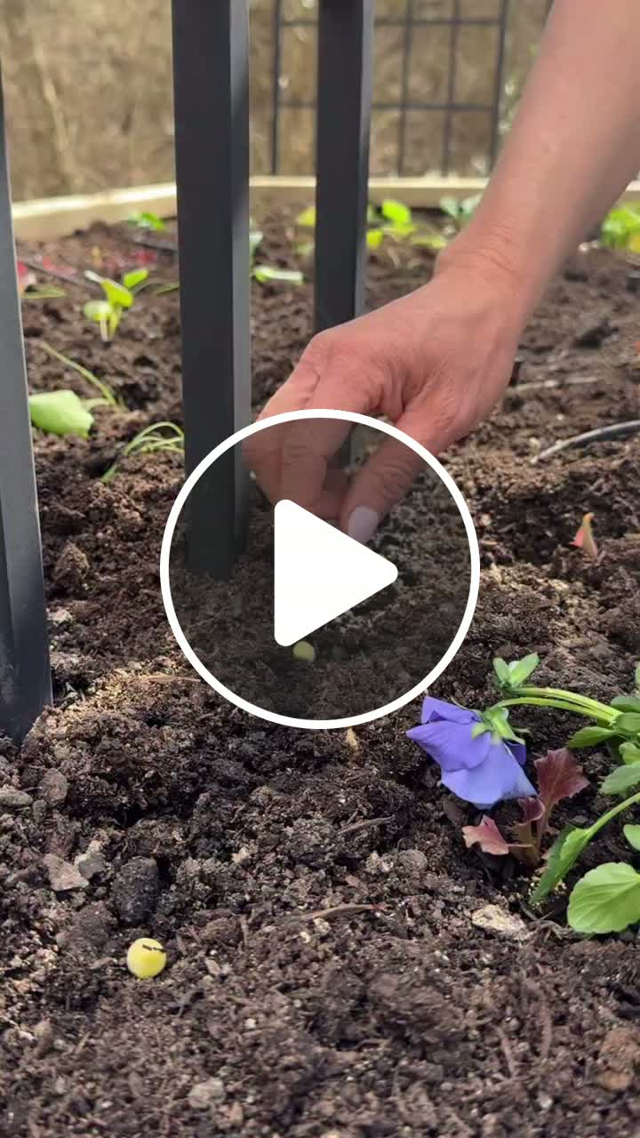 Every time you put your hand in the soil this happens - NewsBreak