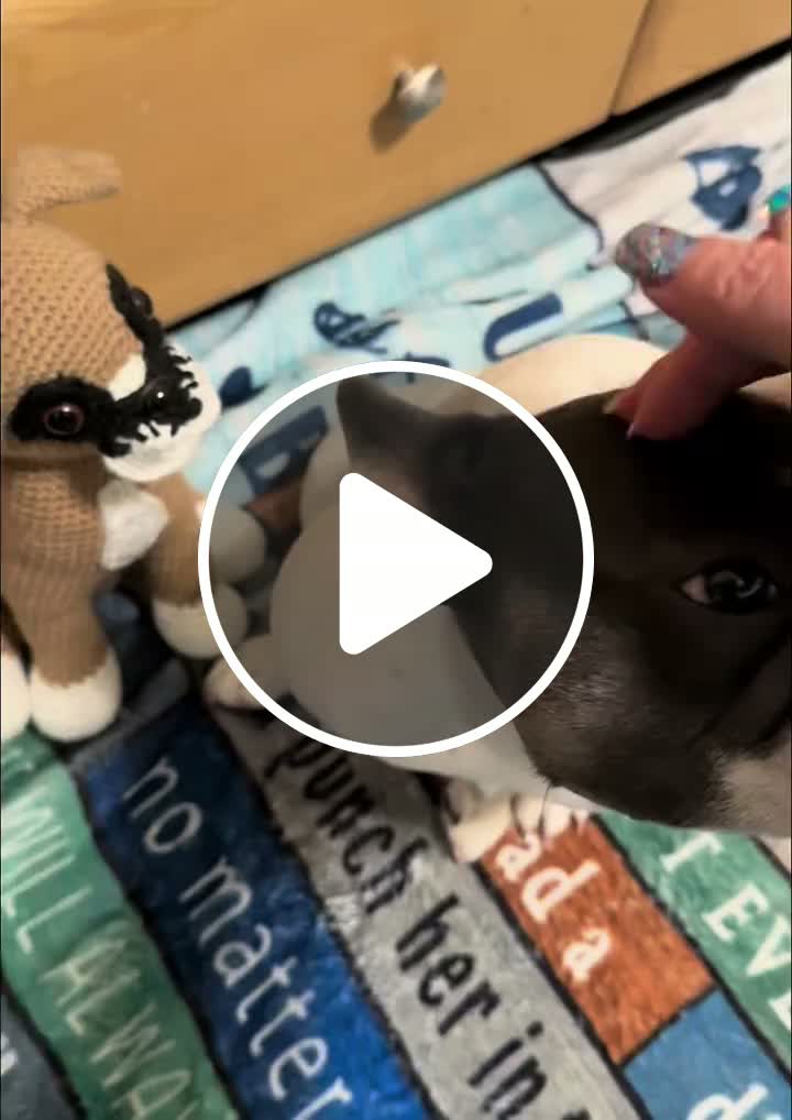 Dancing time now - NewsBreak