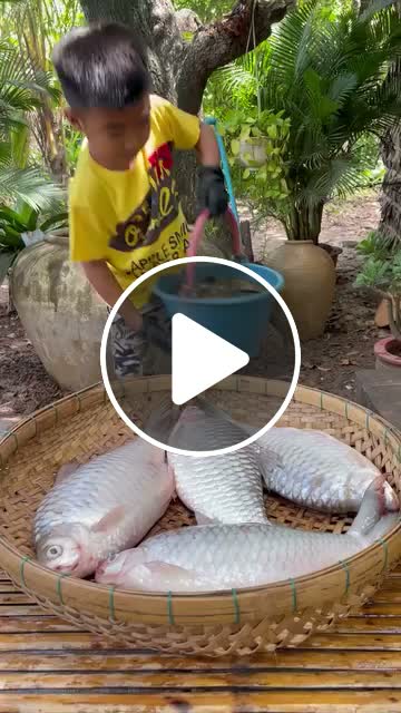 The truth they didn’t want you to hear 📢 - NewsBreak