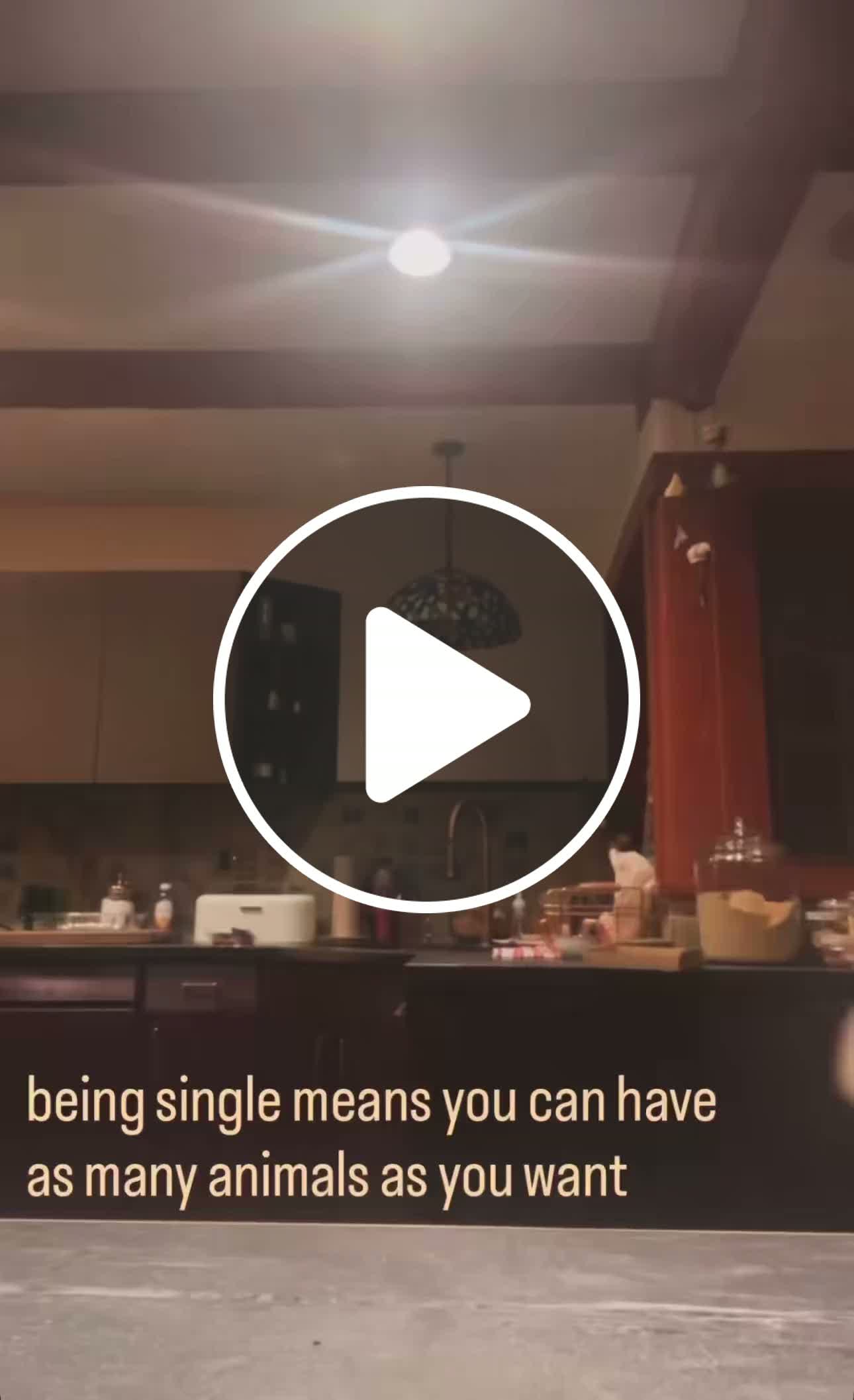 Michael Jackson daughter Paris shows her pets! While blasting some Iron ...