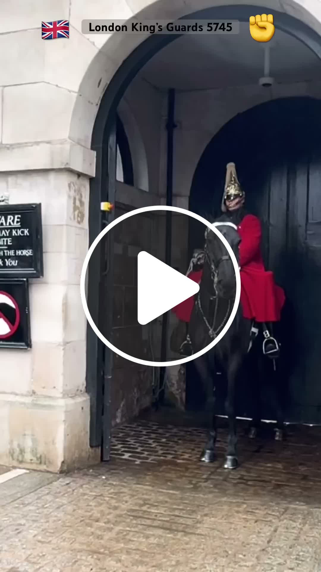 King’s Guard Stands Proud with His Majestic Horse - NewsBreak