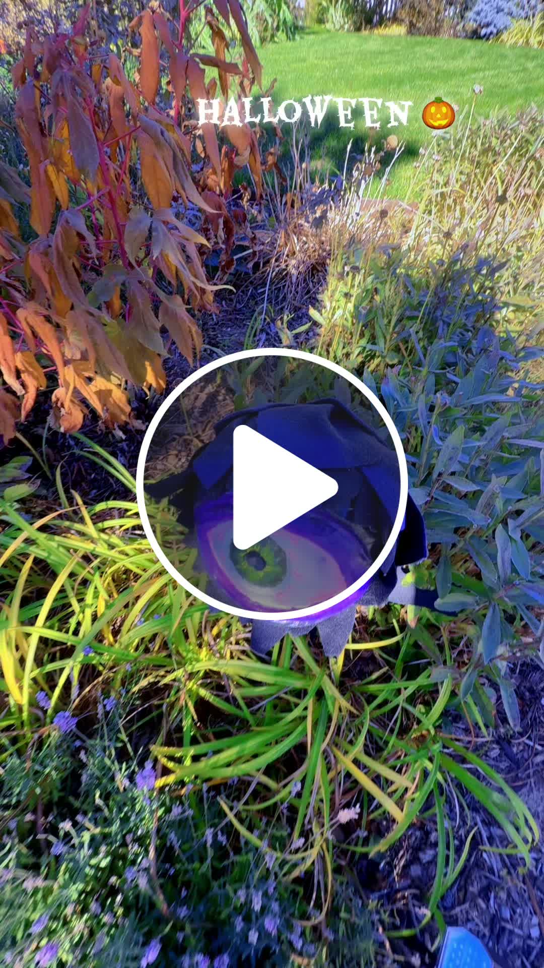 Halloween 🎃 decorations - NewsBreak