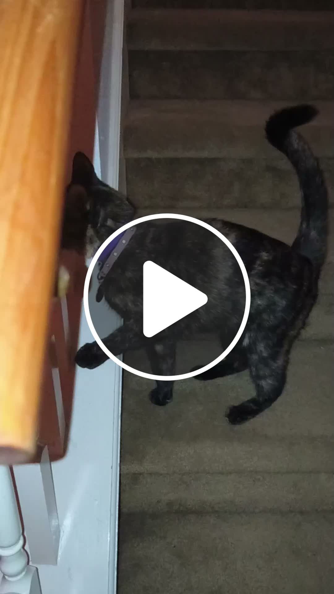 My black 🖤 girl Magic - NewsBreak