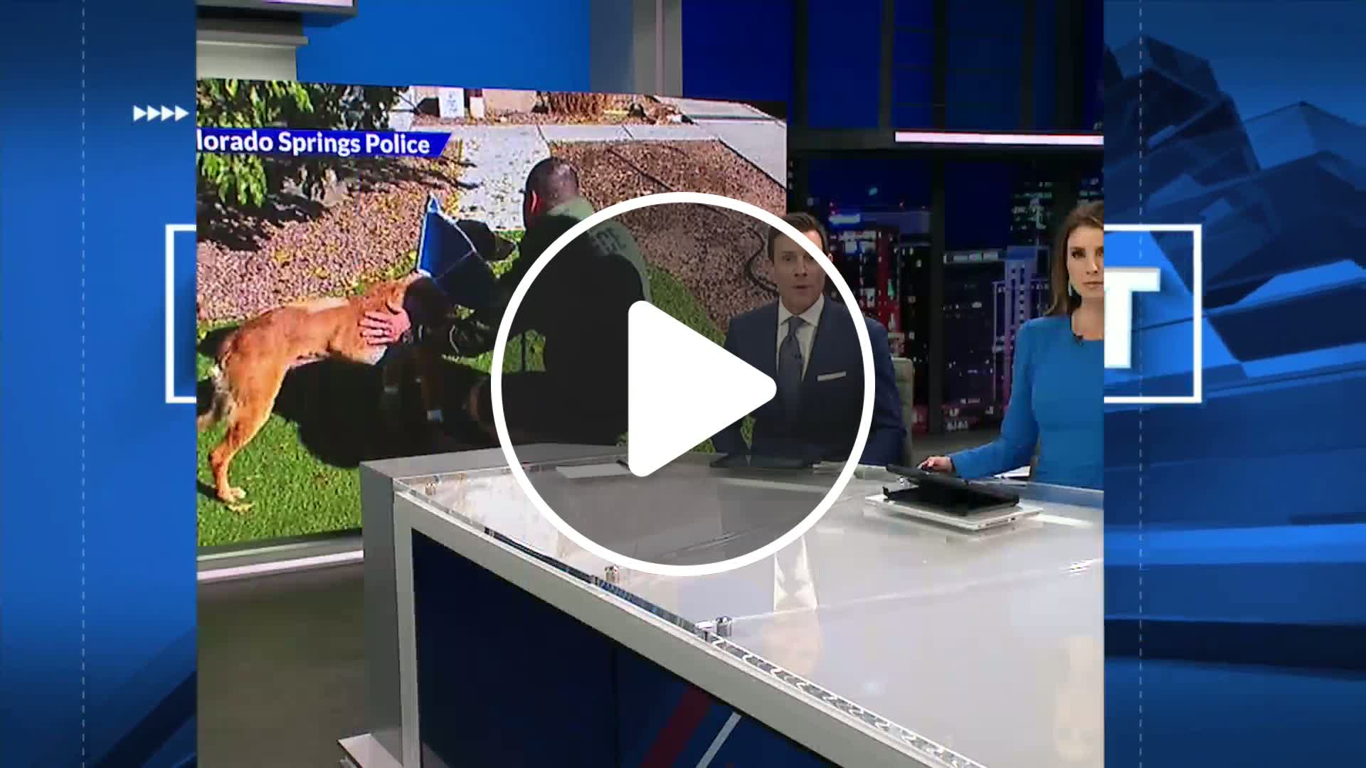 The “Rammer Jammer” cheer is iconic to University of Alabama fans, but ...