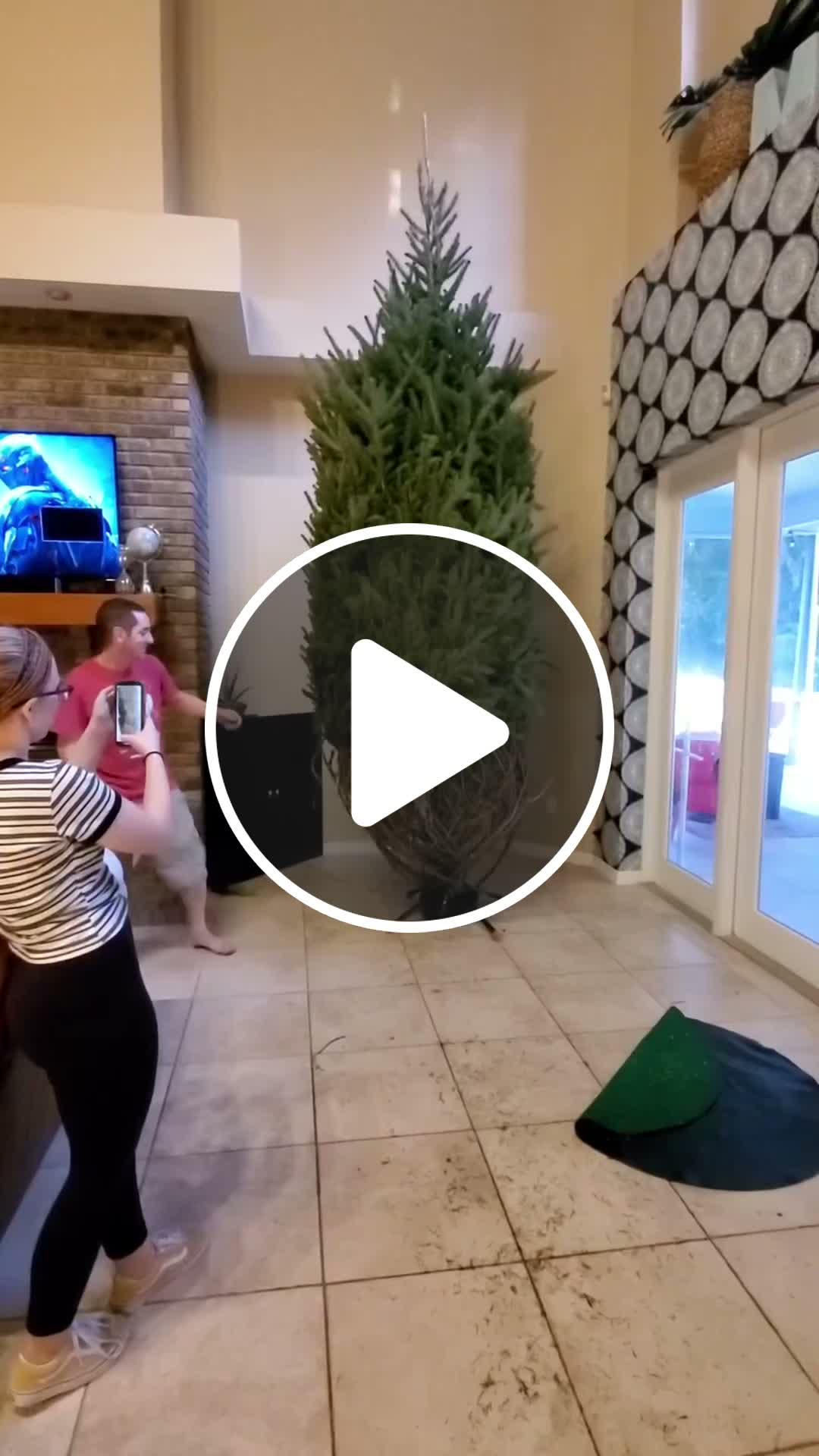 When decorating the tree doesn't go as planned 🎄😂 #ChristmasFails # ...