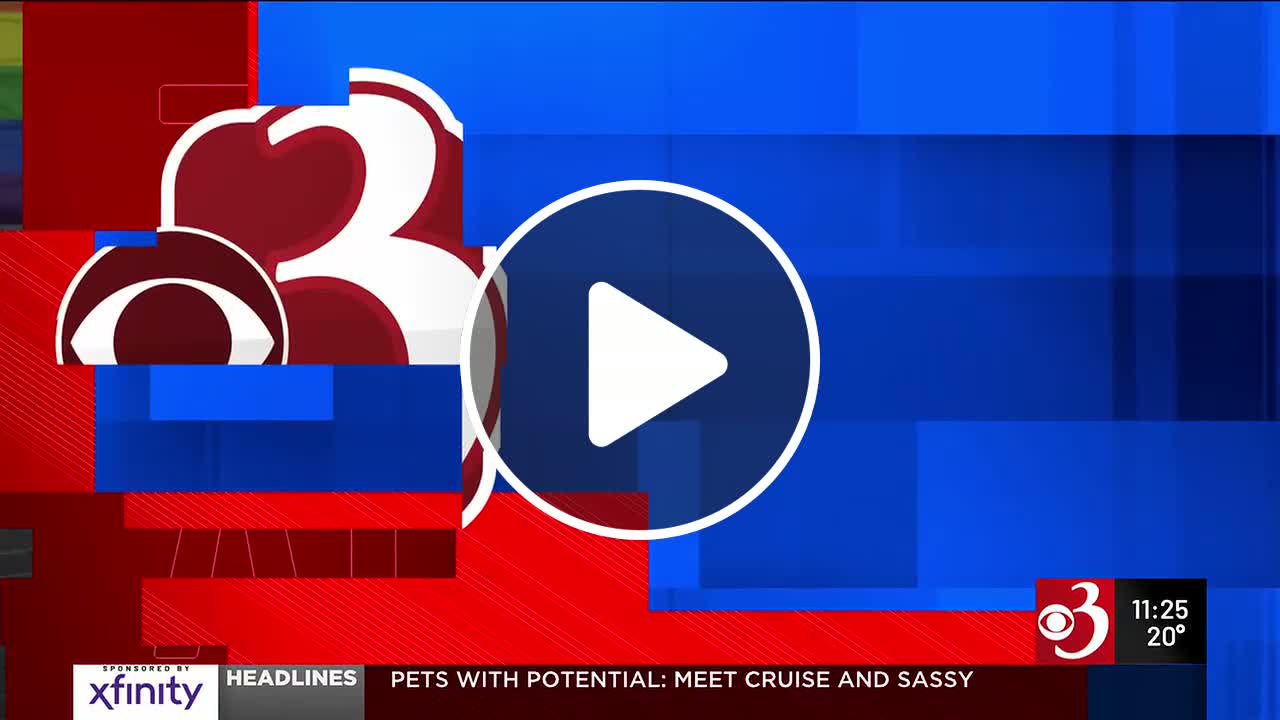 Casella Christmas Convoy brings holiday cheer to Rutland area - NewsBreak