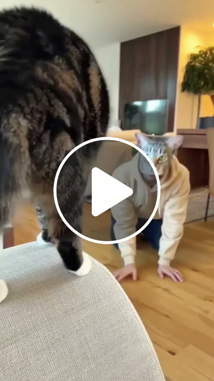 prank gone wrong 😂😭😂 - NewsBreak