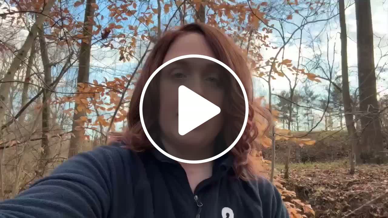 Maryland's newest invasive species: The giant Joro spider from Asia ...