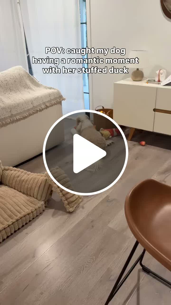 sus 🤨 - NewsBreak