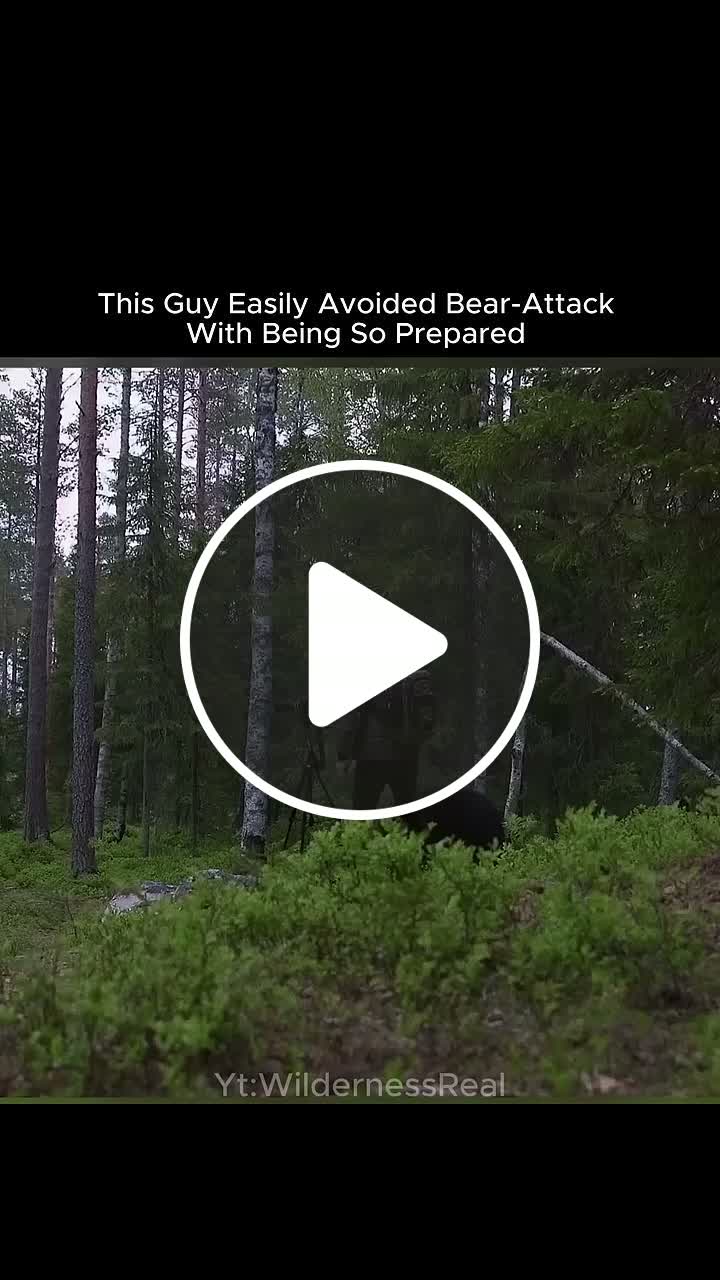 Man avoids 🐻 Bear attack - NewsBreak