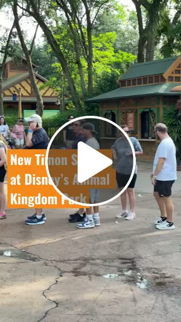 disney's animal kingdom unveils new timon sipper - NewsBreak
