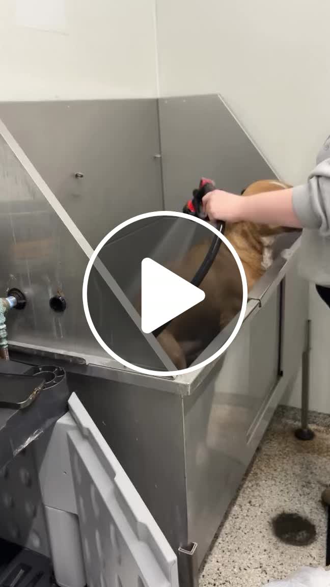 If y'all ever hear this demon in tractor supply. I swear he's not dying ...