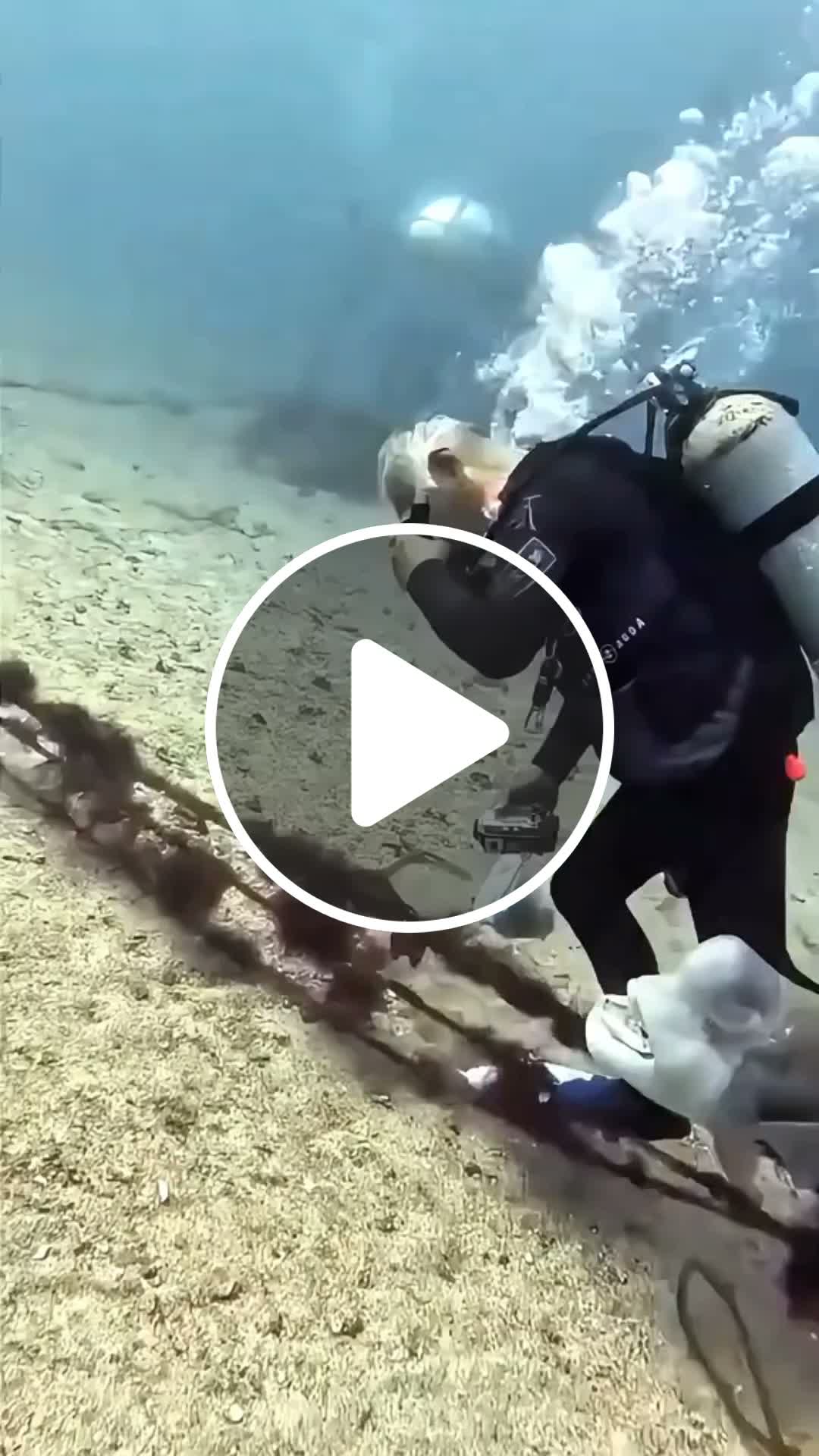 Ocean core - NewsBreak